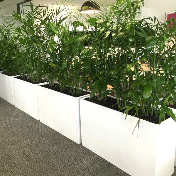 Gallery - Plants at Work