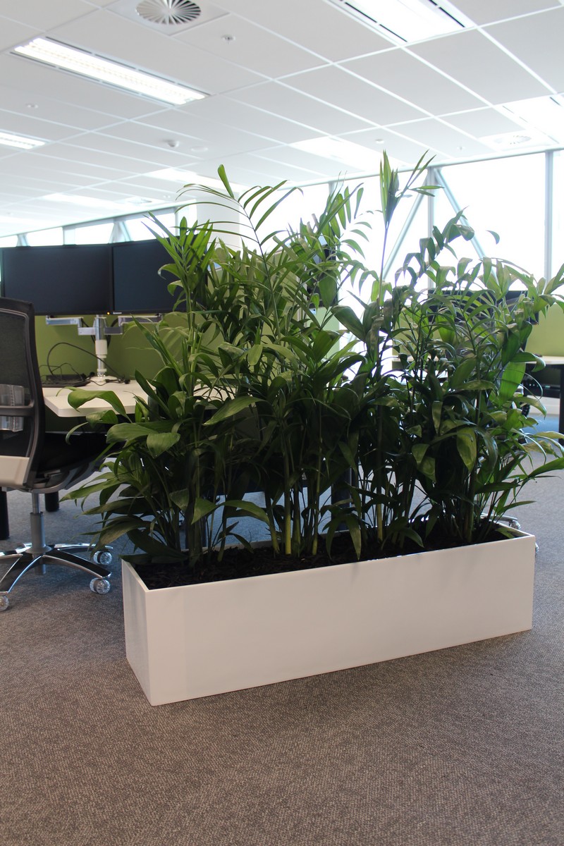 Gallery 17 - Plants at Work