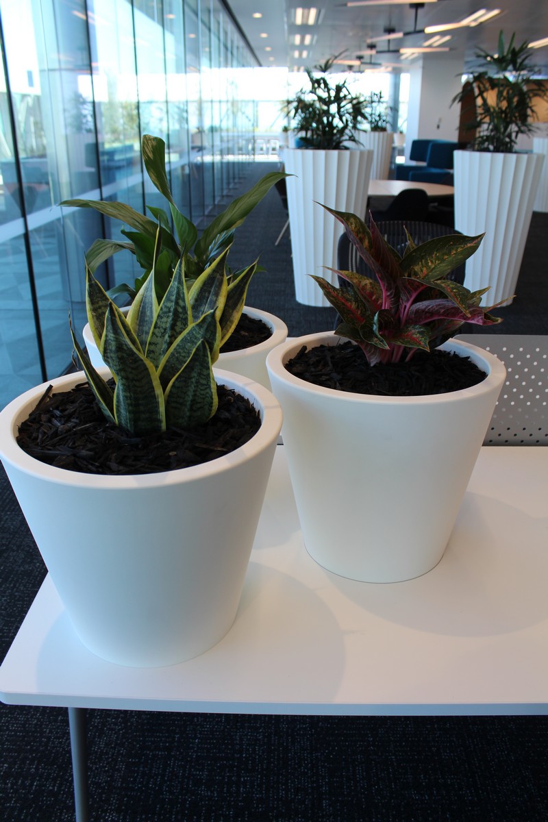 Gallery 14 - Plants at Work