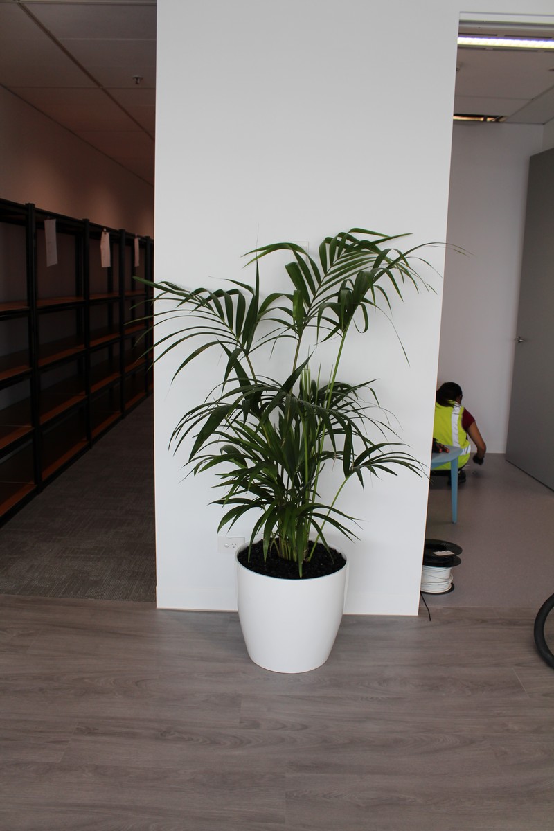 Gallery 10 - Plants at Work
