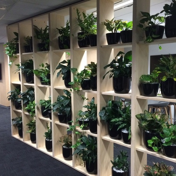 Natural Green Indoor Plant Dividers
