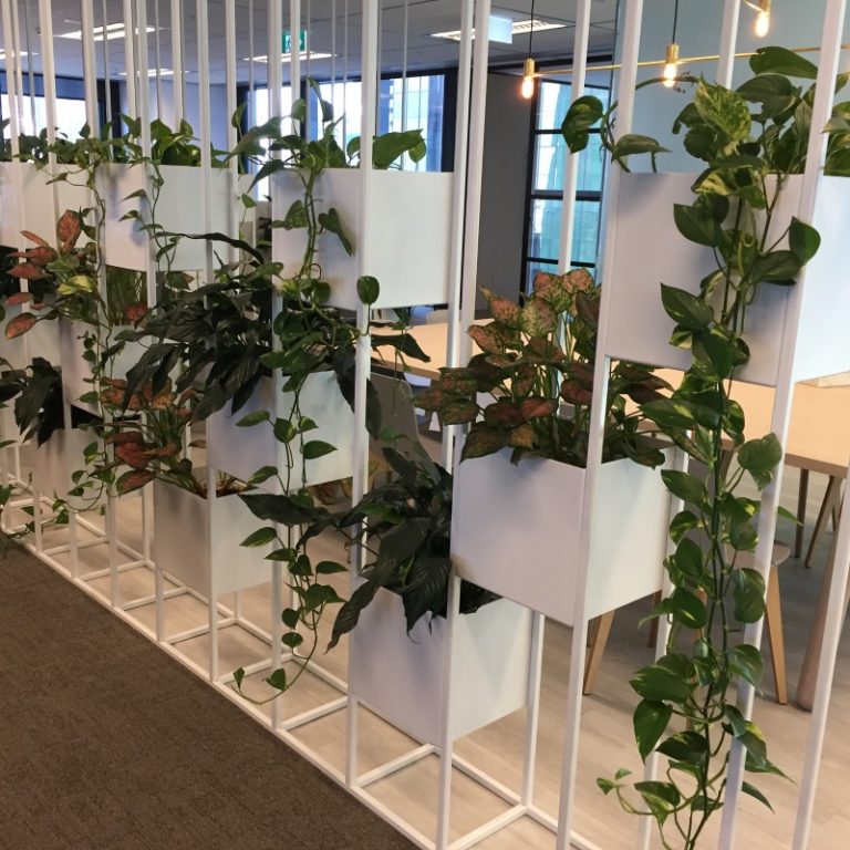 Natural Green Indoor Plant Dividers