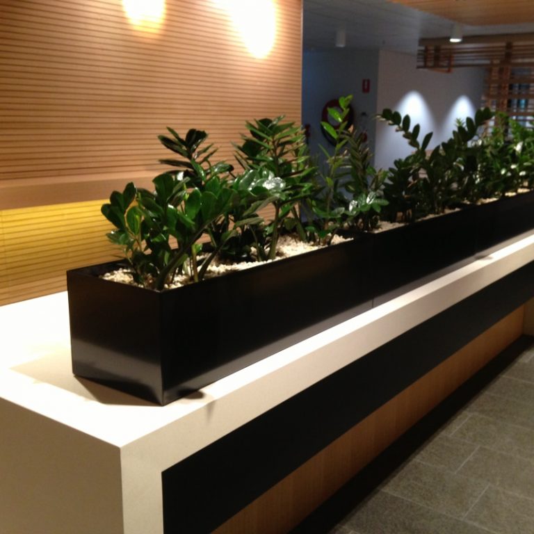 Natural Green Indoor Plant Dividers