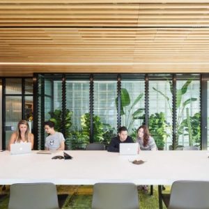 Indoor Plant Hire | Office Plant Rental | Office Plant Hire | Plants at ...